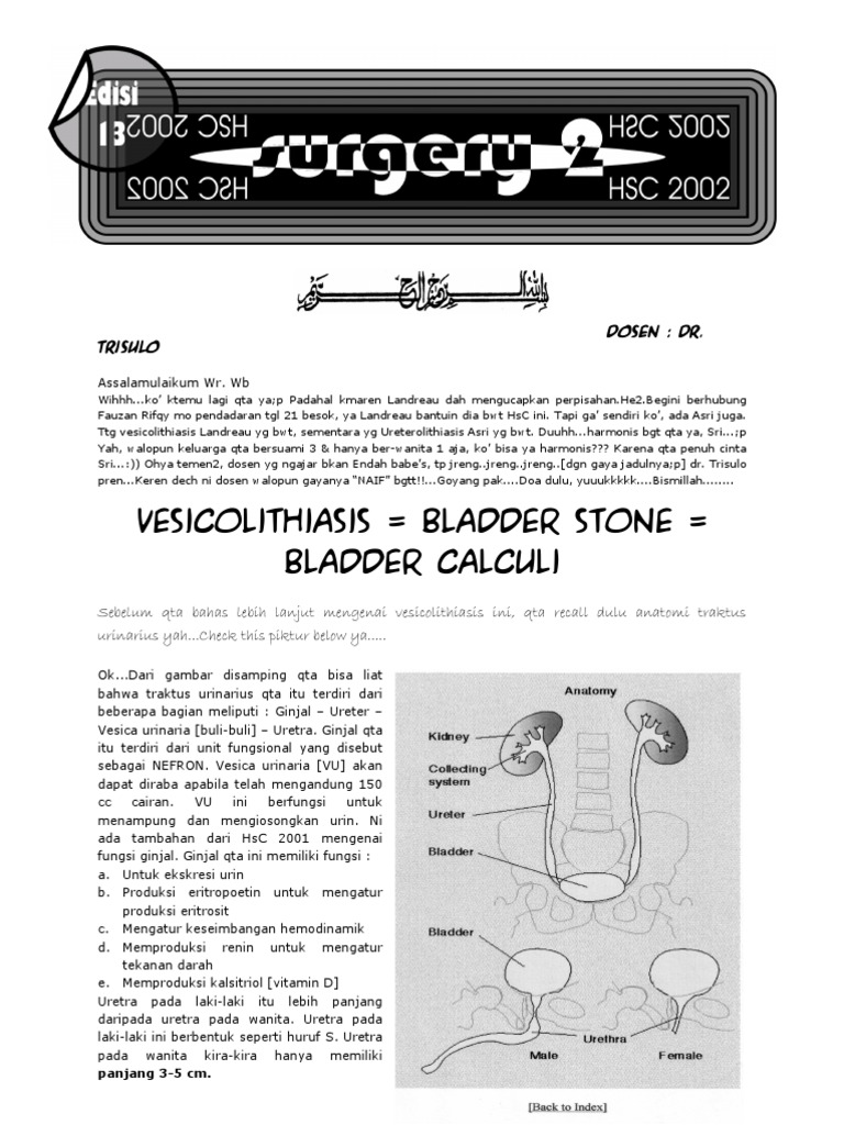 Vesicolithiasis | PDF