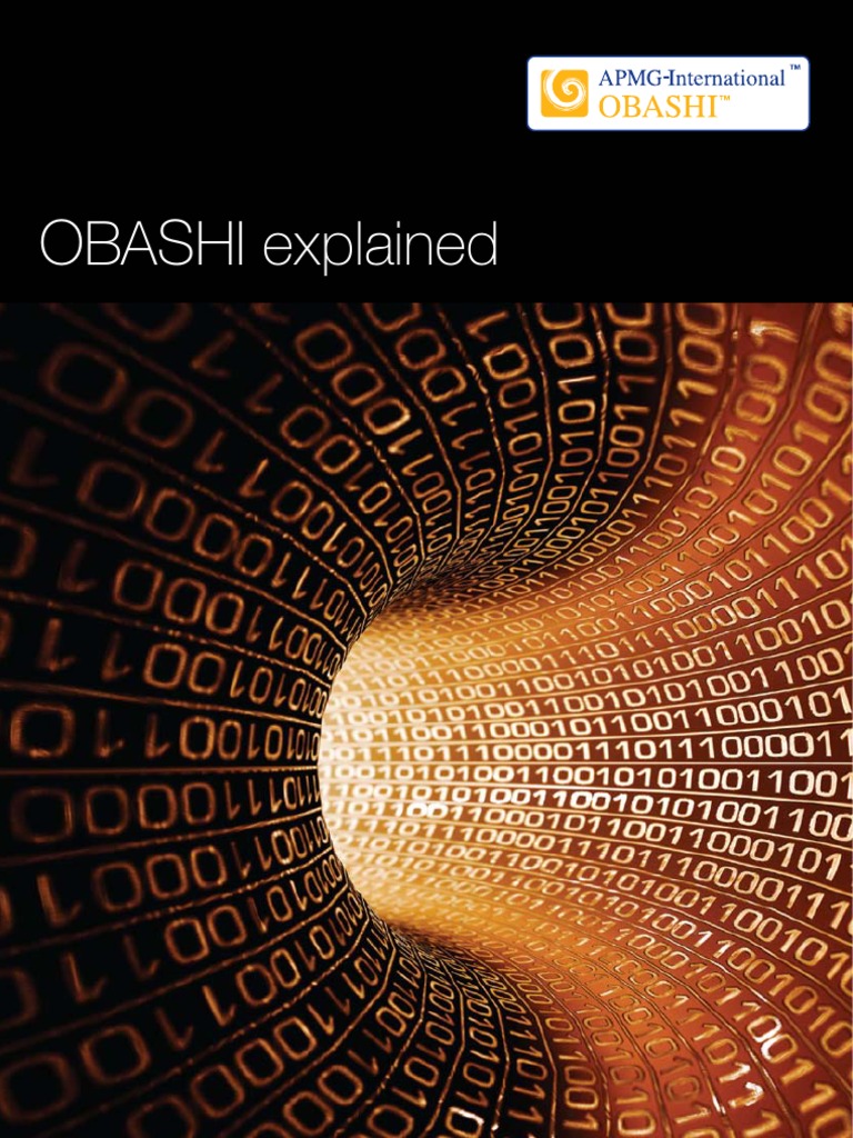 OBASHI Explained - White Paper | PDF | Business Process | Business