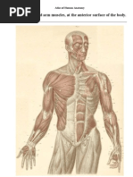 Astri - Neck Cailliet Exercise | PDF | Vertebral Column | Vertebra