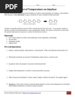 Enzyme Activity Lab Report - IB Biology | PDF | Enzyme | Catalase