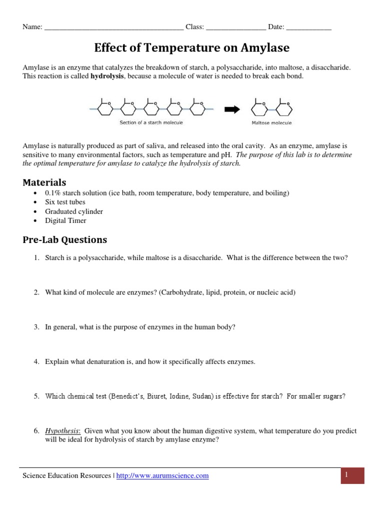 Amylase Enzyme and Temperature Lab | PDF | Starch | Hydrolysis
