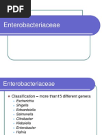 Biochemical Test Chart | PDF | Microbiology | Prokaryote