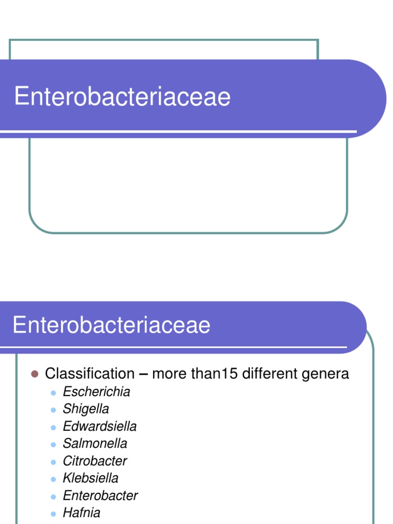Classification and Characteristics of the Enterobacteriaceae Family ...