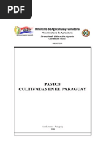 Ficha Técnica Del Pasto Guinea (Panicum Máximum Cv. Guinea Común) | PDF