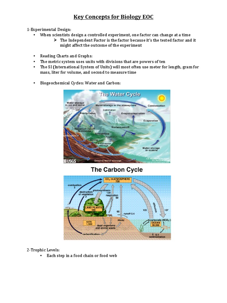 Biology EOC Key Concepts | PDF | Dna | Cell (Biology)