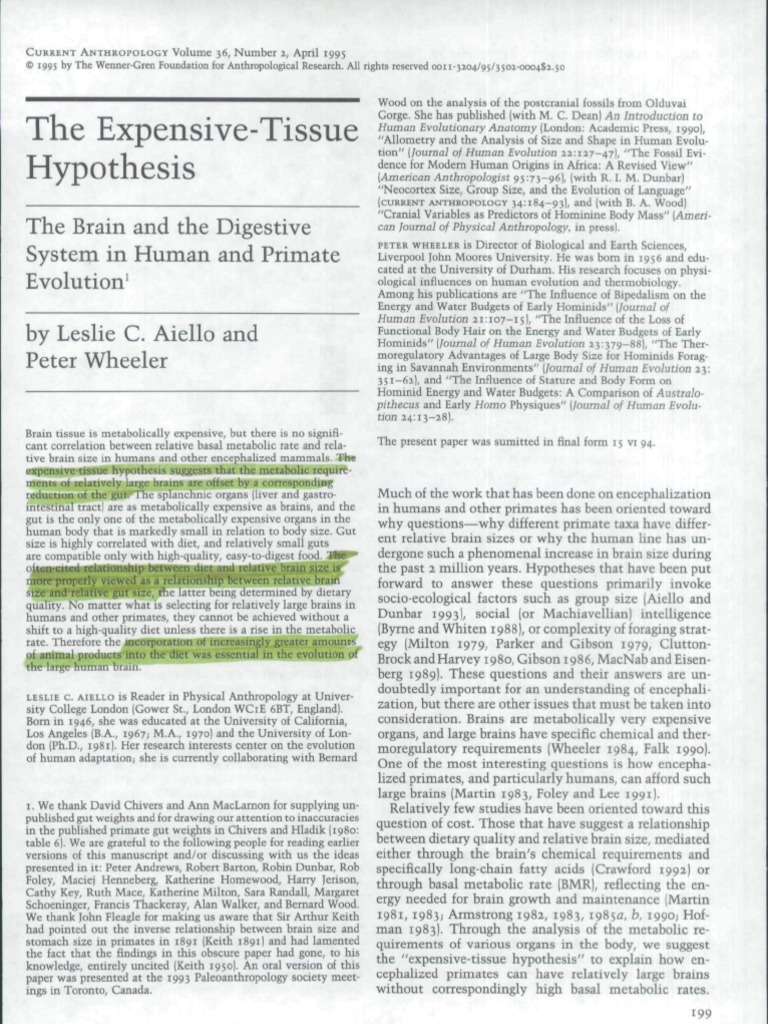 Expensive Tissue Hypothesis | Human Evolution | Brain | Free 30-day ...