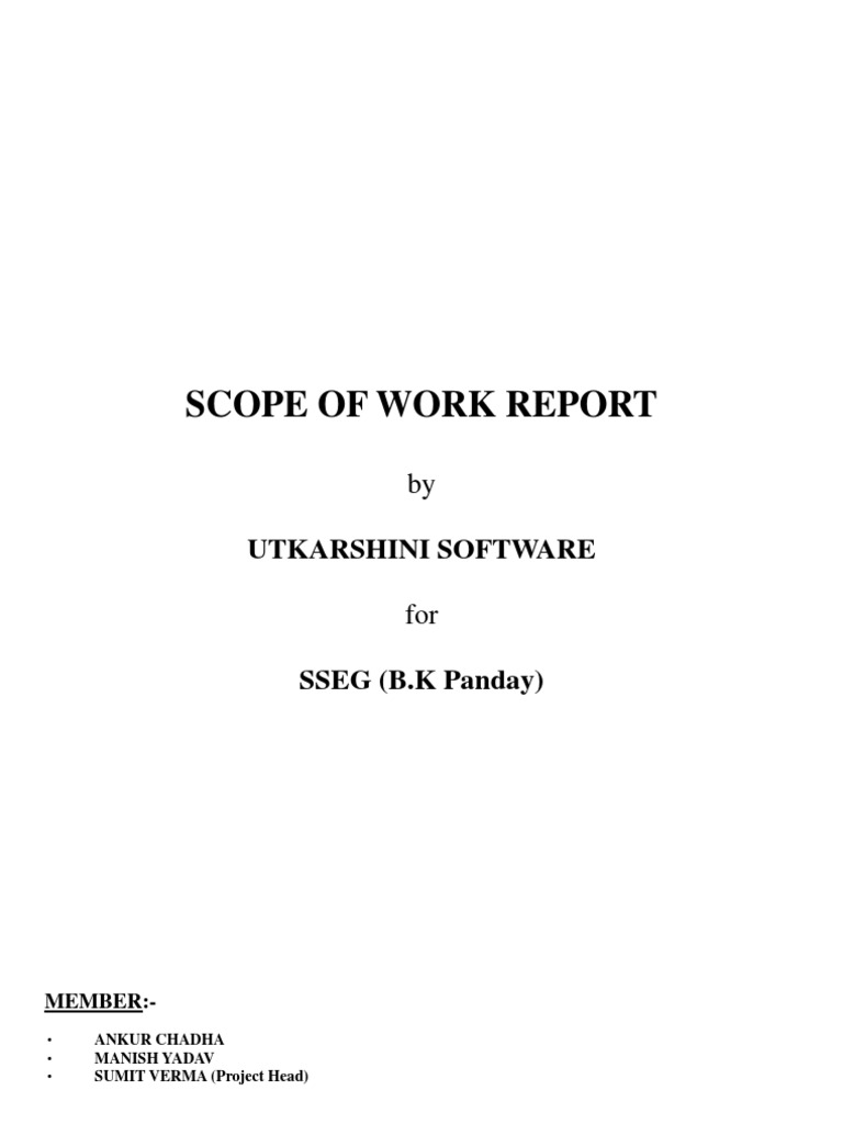 Scope of Work Report: Utkarshini Software | PDF | Websites | Graphical ...