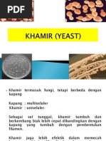 Perbedaan Kapang Dan Khamir (Mould and Yeast) | PDF