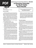 Cow Calf Calendar | PDF | Calf | Weaning