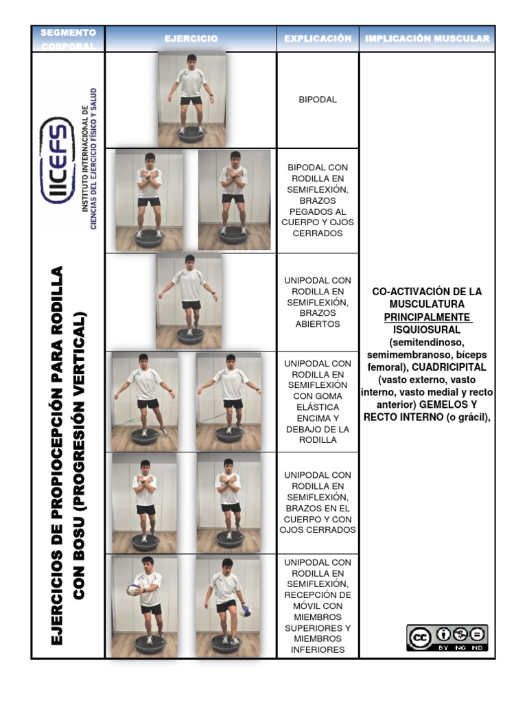 Ejercicios de Propiocepci N para Rodilla Parte II | PDF