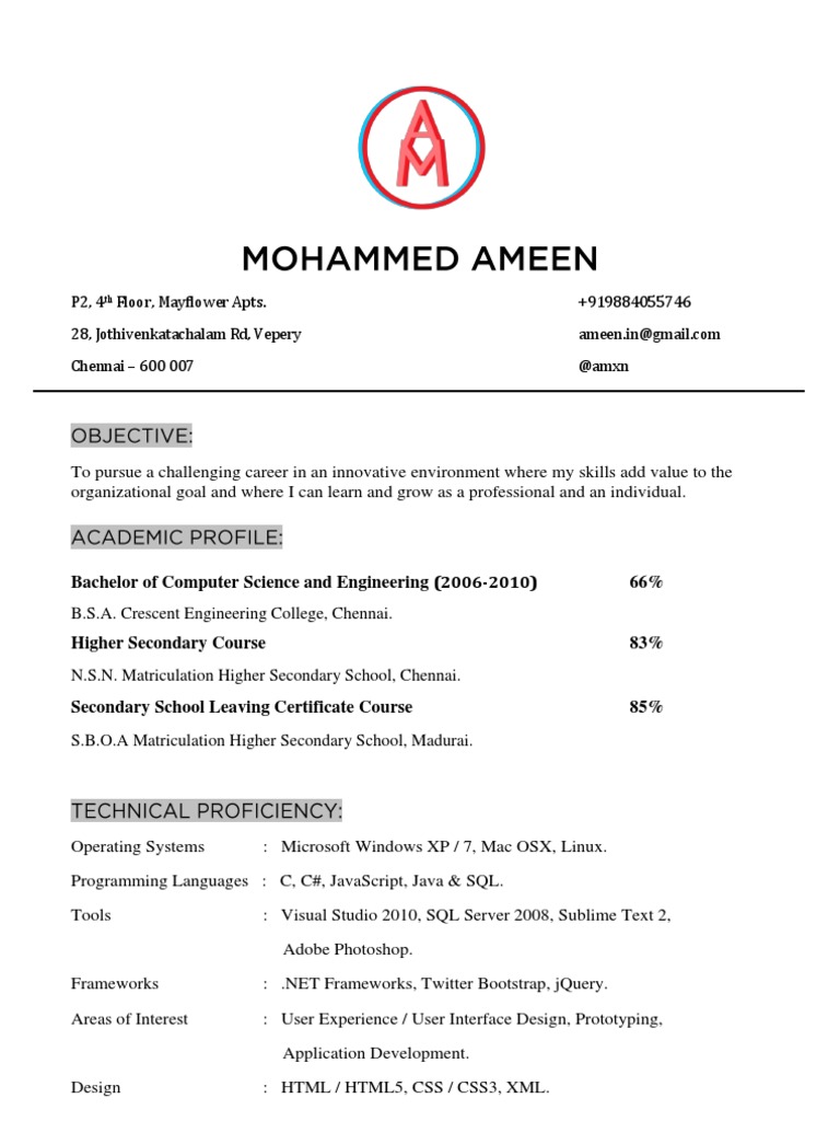 Ameen's CV/Resume | PDF | Art