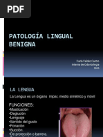 Microglosia y Macroglosia | PDF | Inflamación | Lengua