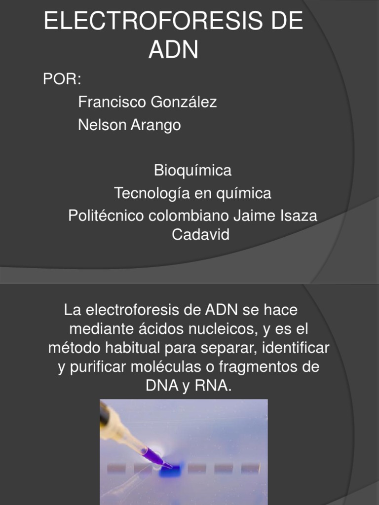 Electroforesis de Adn | PDF | Electroforesis | Ciencias de la vida