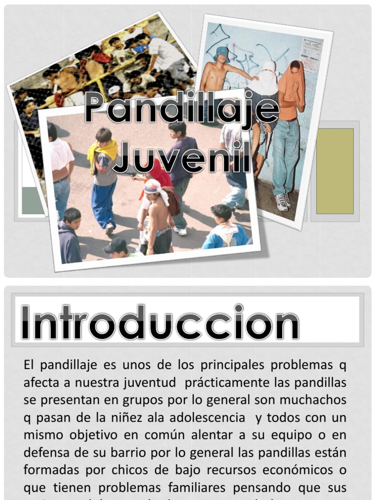 Pandillaje Juvenil | PDF | Juventud | Comportamiento