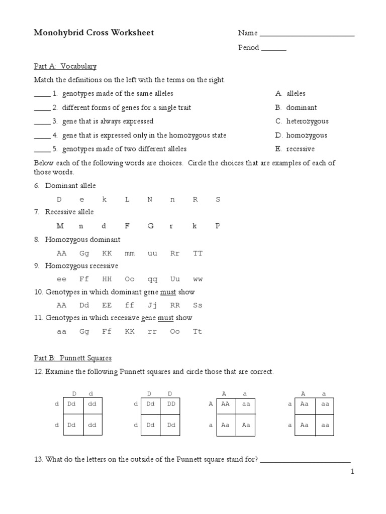 Monohybrid Cross Worksheet and Problems | PDF | Dominance (Genetics ...
