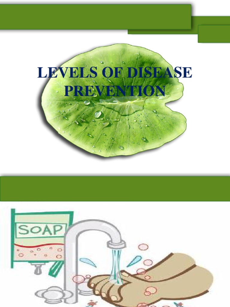 Levels of Prevention | PDF | Preventive Healthcare | Disability