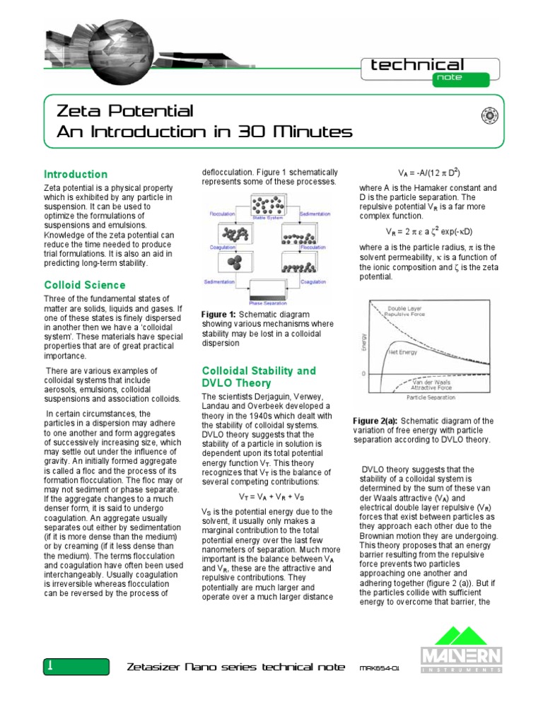 Zeta Potential: A 30-Minute Guide | PDF
