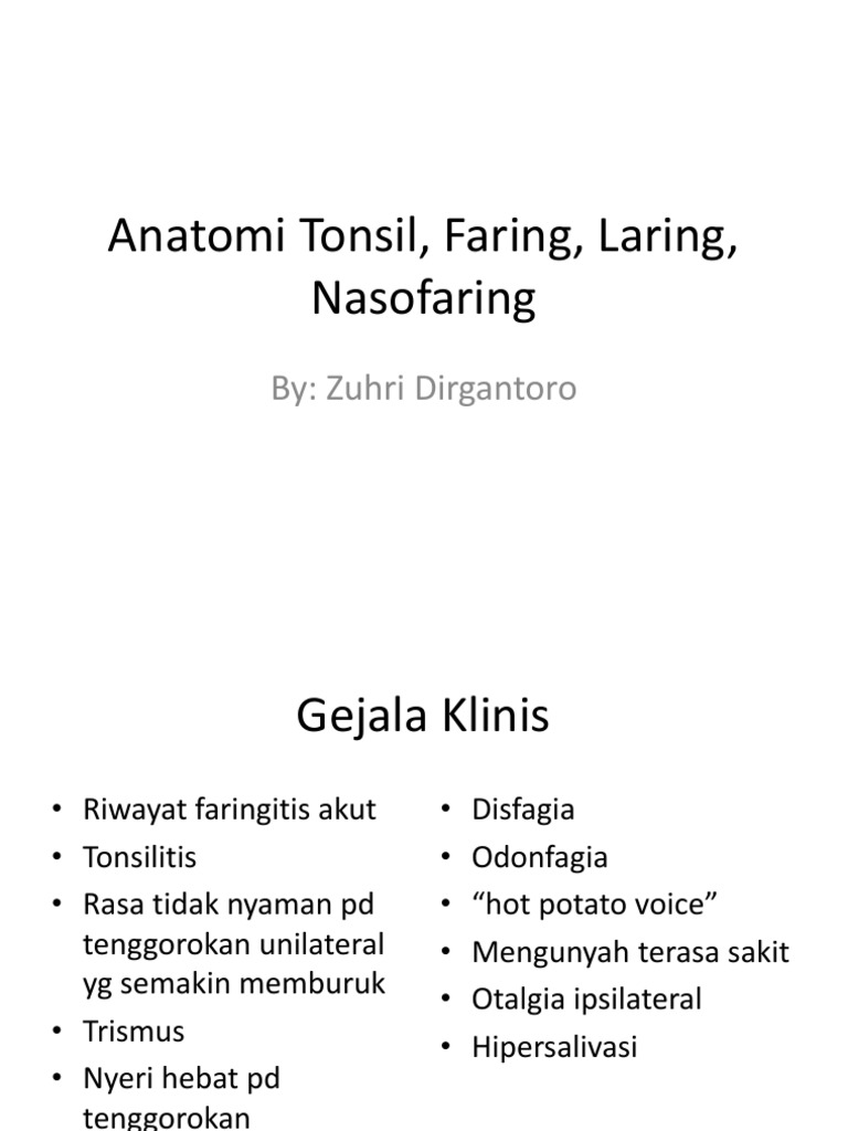 Presentasi Anatomi Tonsil, Faring, Laring, Nasofaring | PDF