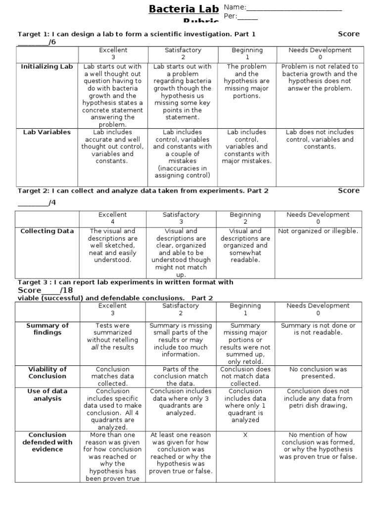 Bacteria Lab RUBRIC | Download Free PDF | Experiment | Hypothesis