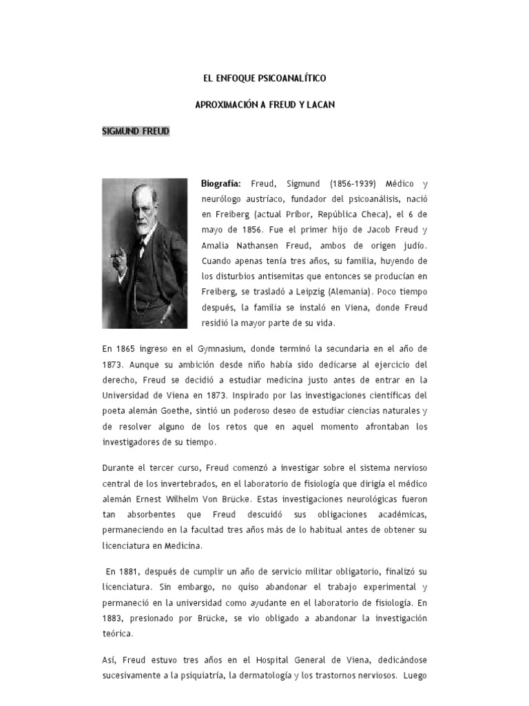 Biografia de Simon Freud (Damaris) | PDF | Psicoanálisis | Sigmund Freud