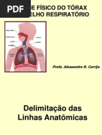 Tórax Tonel, Pectus Carinatum e Pectus Exacavatum | PDF | Doença de ...
