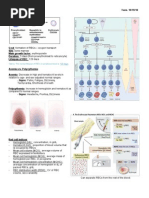 Systemic Pathology | PDF
