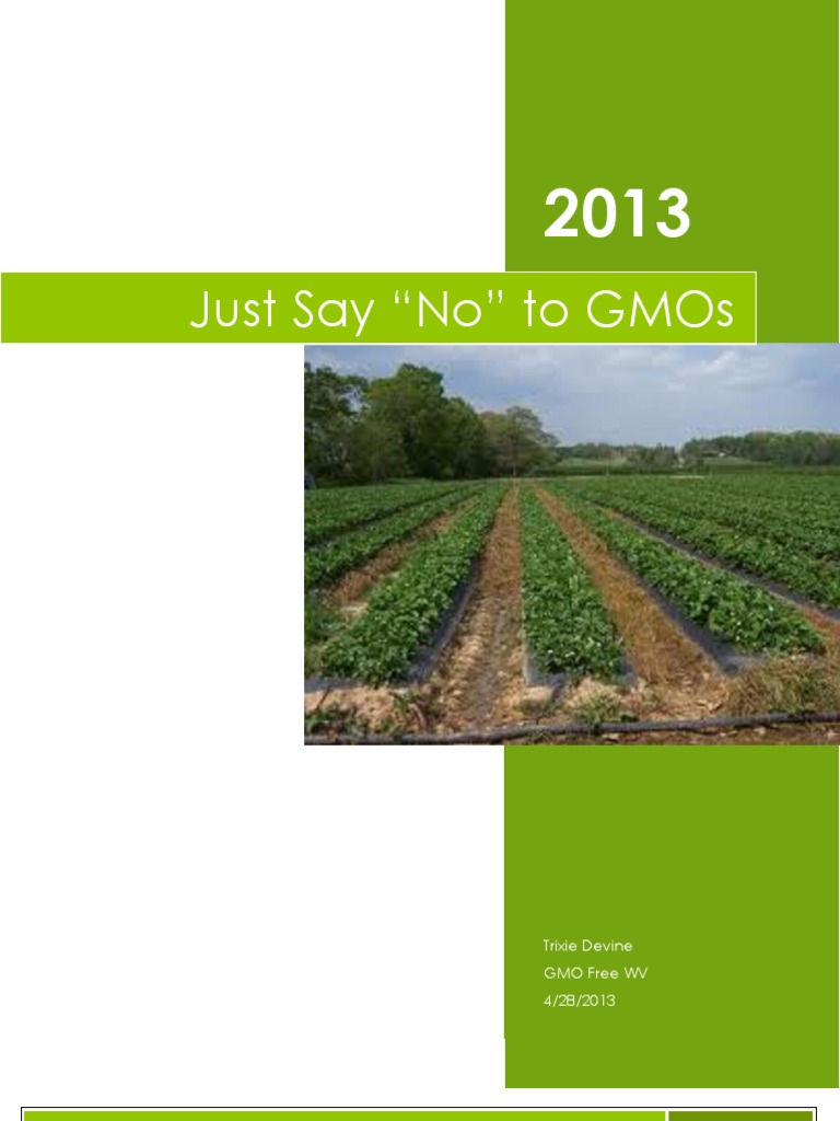 GMO Report | PDF | Genetically Modified Organism | Genetic Engineering