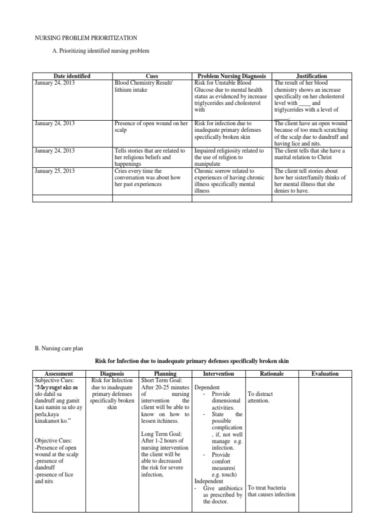 Prioritizing Nursing Care for a Client with Mental Health Issues: A ...