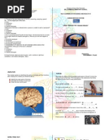 Human Brain | PDF | Self-Improvement