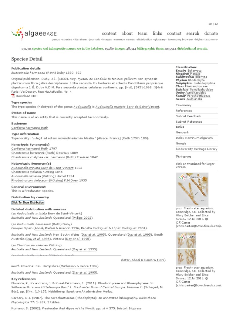 Species Detail - Algaebase | PDF | Taxonomy (Biology) | Taxa