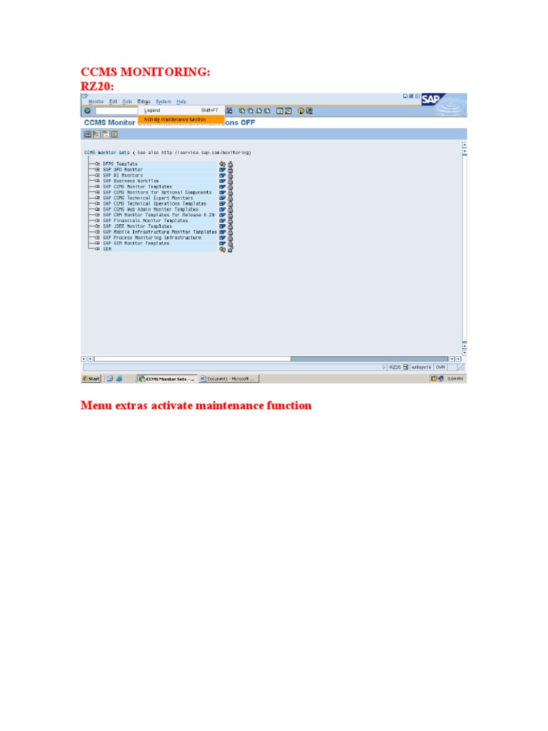CCMS Monitoring: RZ20 Maintenance Guide | PDF