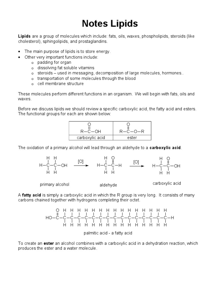 Notes Lipids | Lipoprotein | Fatty Acid