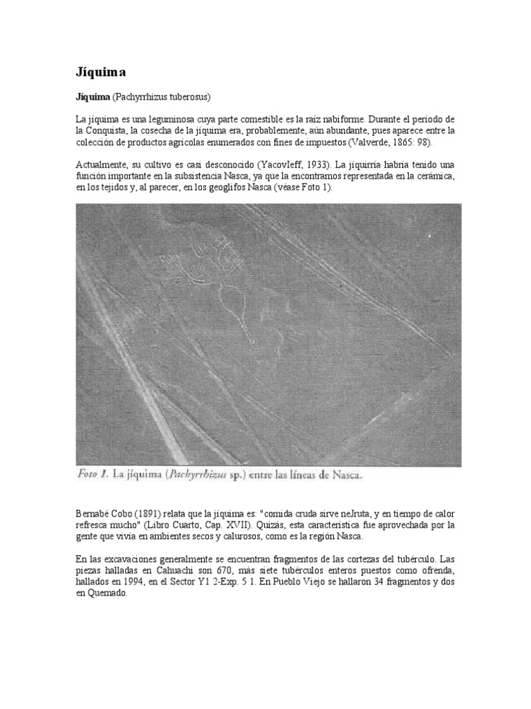 Jíquima y Otros Productos Originarios Peru | Descargar gratis PDF ...