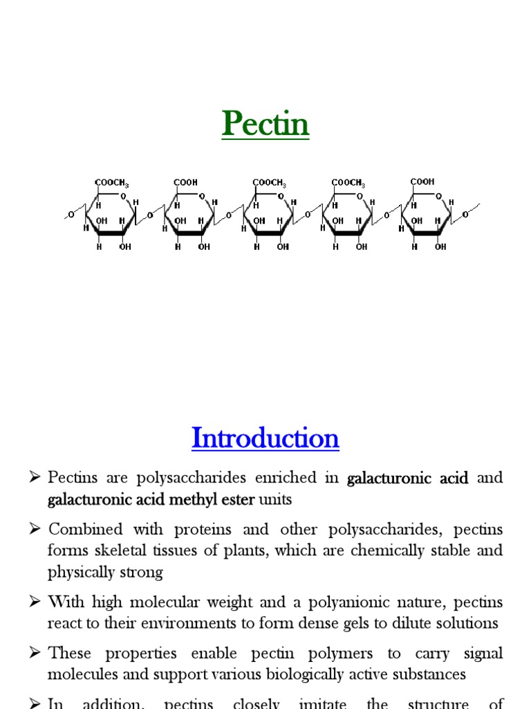 Pectin Structure