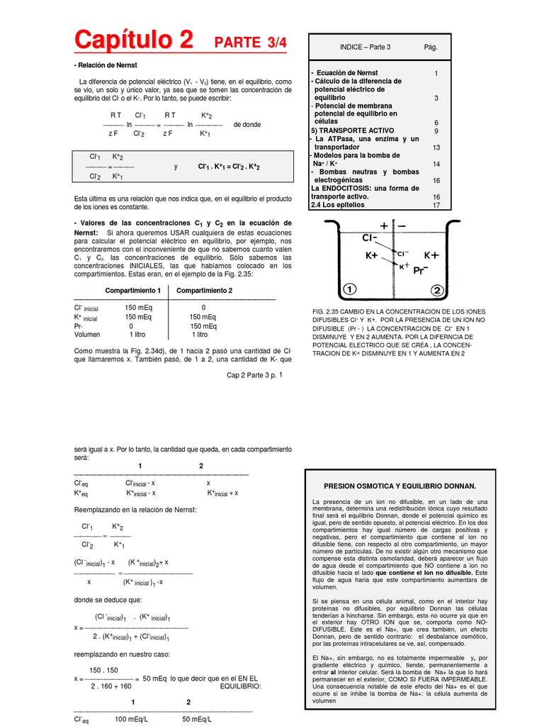 Cap23 Pdf Pdf Potencial De Membrana Enzima