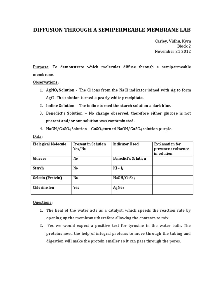 Diffusion Through A Semipermeable Membrane Lab | PDF