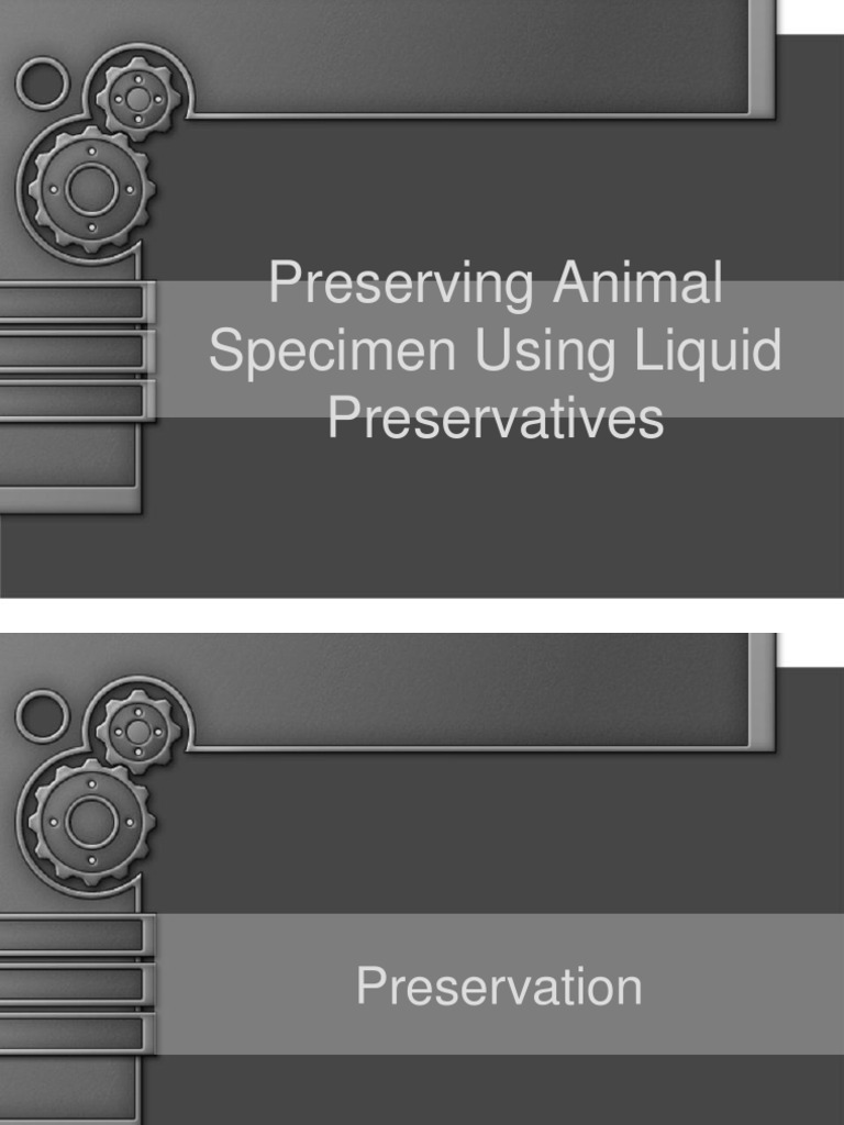 Preserving Animal Specimen Using Liquid Preservatives | PDF