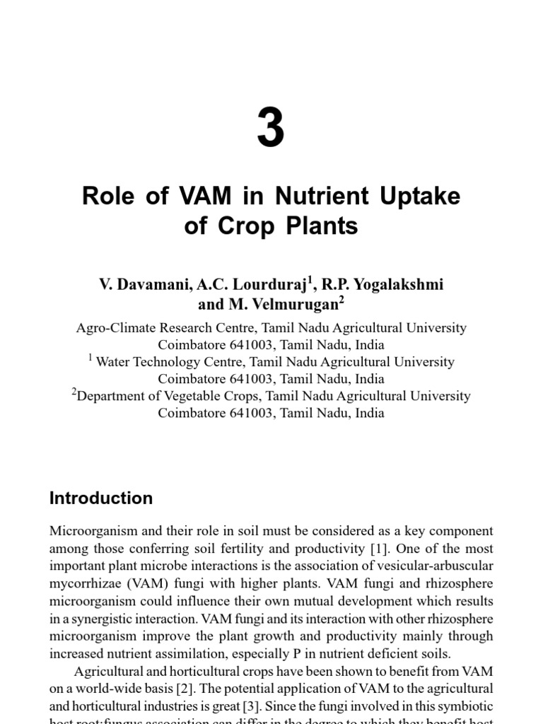 Role of VAM in Nutrient Uptake of Crop Plants | PDF | Plant Hormone ...