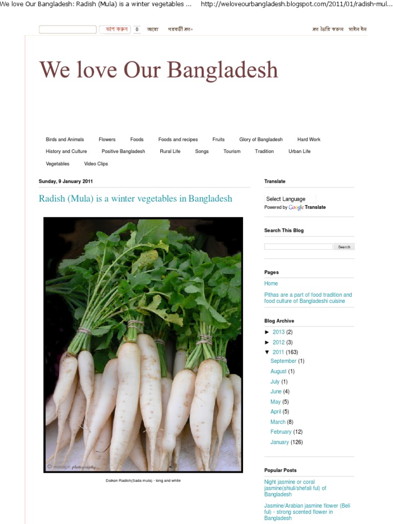 We Love Our Bangladesh - Radish (Mula) Is A Winter Vegetables in ...