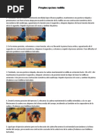 PALESTESIA Definicion y Exploración | PDF | Mano | Sistema ...