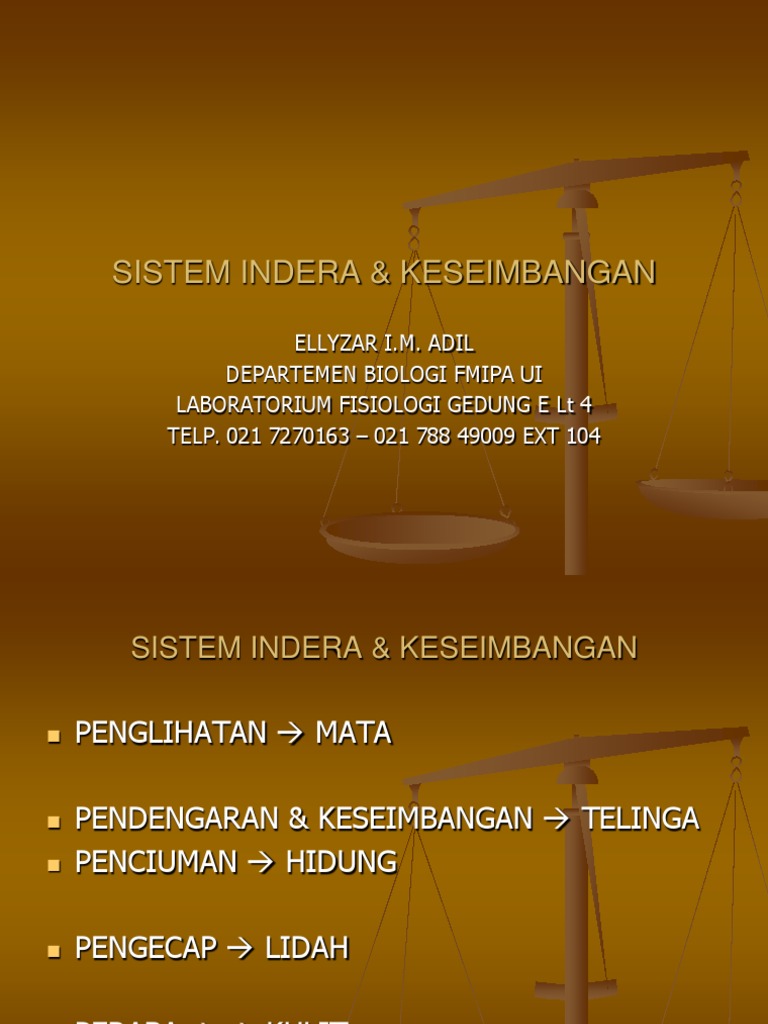 Sistem Indera