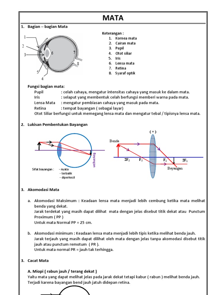 Bagian dan Fungsi Mata serta Alat Optik | PDF | Metode & Bahan Ajar
