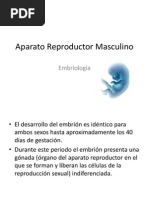 2.7. Exploración Testicular. 2.8. Escroto. 2.9. Técnicas y Maniobras de ...