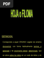 Glosario de briofitos y caulidios | PDF | Hoja | Plantas