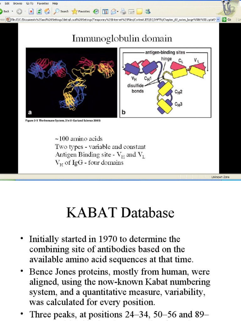 KABAT Database | PDF | Sequence Alignment | Proteins