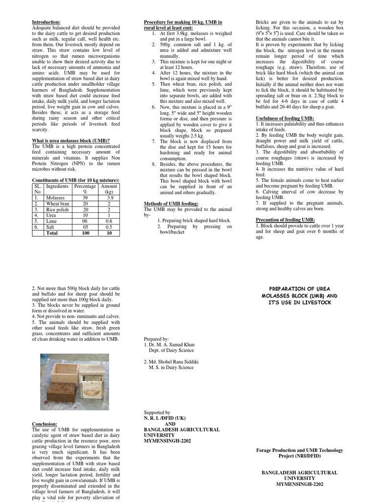 Urea Molasses Blocks | PDF | Dairy Cattle | Cattle