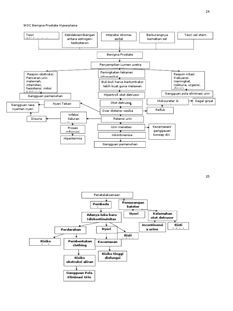 WOC Benigna Prostate Hyperplasia | PDF