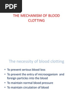 Blood Clotting Positive Feedback Mechanism | PDF