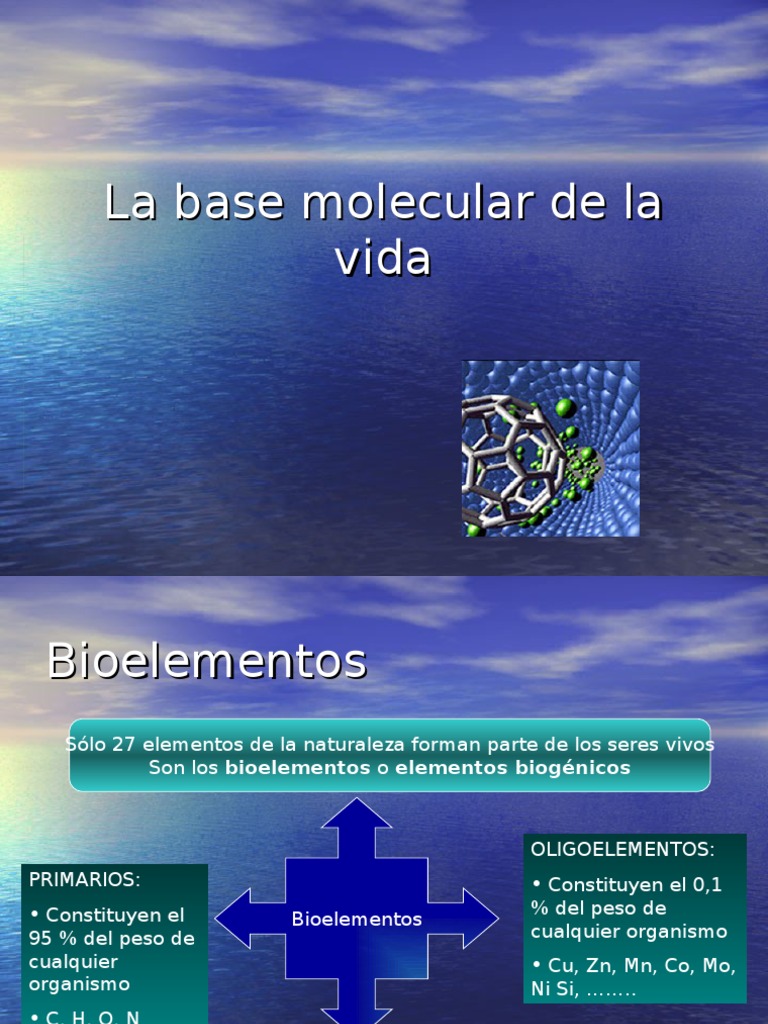 La Base Molecular De La Vida 1 Pdf Rna Adn