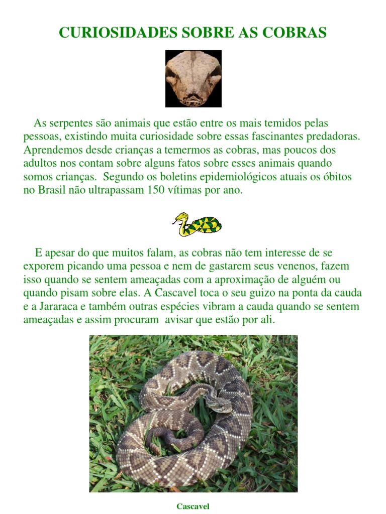Curiosidades Sobre As Cobras | PDF | Serpente | Predação